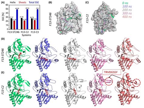 Secondary Structure And Conformational Analysis Of St 246 And New Download Scientific Diagram
