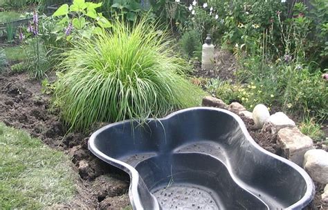 How To Avoid Common Pond Filter Mistakes