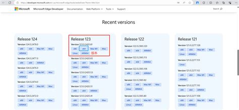 安装selenium pip install selenium csdn博客