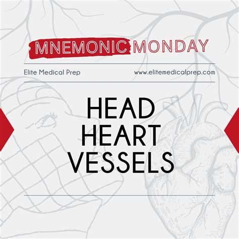 Happy Mnemonic Monday 👏⁠ ⁠ The Acronym Head Heart Vessels Can Help You Remember The Syncope