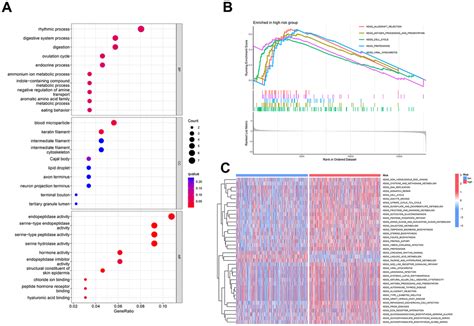 Precision Prognostication In Breast Cancer Unveiling A Long Non Coding