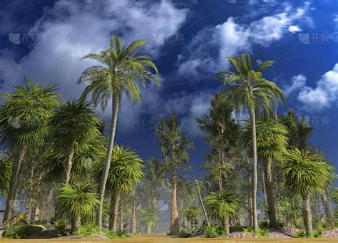 中生代森林三维插图