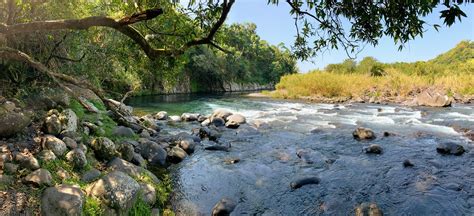 Photo Bras Panon Photos Images Bras Panon 97412