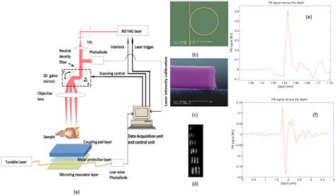 A Schematic Of A Preliminary Popam System Based On A Microring Download Scientific Diagram