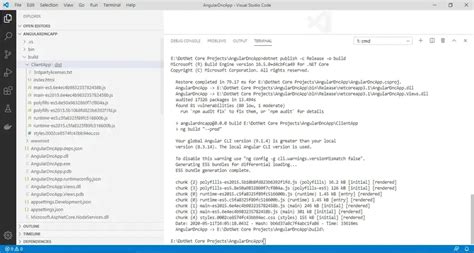 How To Setup Angular Code In ASP NET Core Project ASP NET Hosting