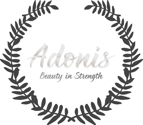 Scripting Adonis Admins Scripting Support Developer Forum Roblox