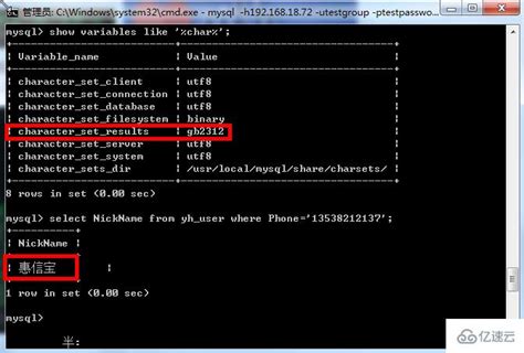 如何解决sql命令查询出现乱码的问题 MySQL数据库 亿速云