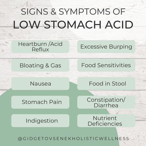 Improving Gut Health to Manage Common Autoimmune Conditions – MEDA Foundation