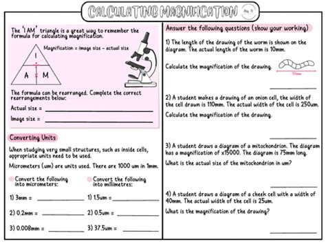 Calculating Magnification Ks4 Worksheet Teaching Resources