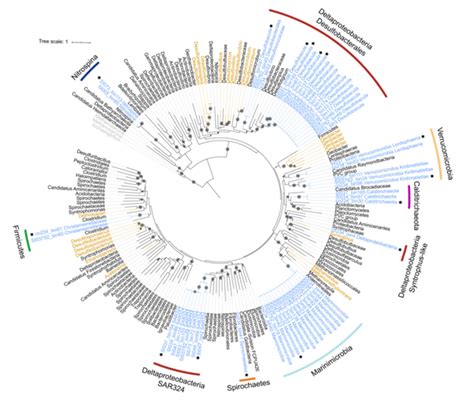 做宏基因组太common？宏基因binning分析让您的文章与众不同！ 知乎