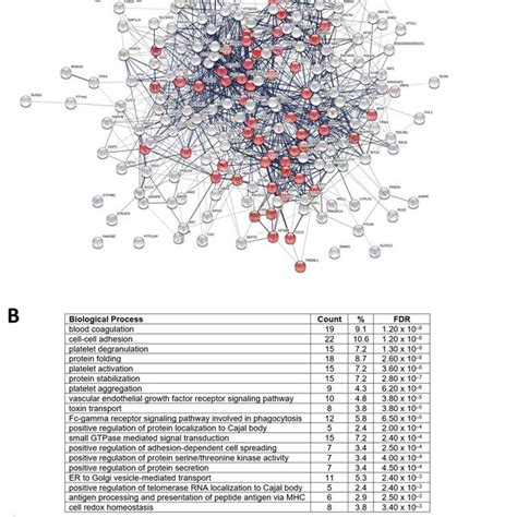 Network And Pathway Analysis Of The Significantly Modulated Proteins In