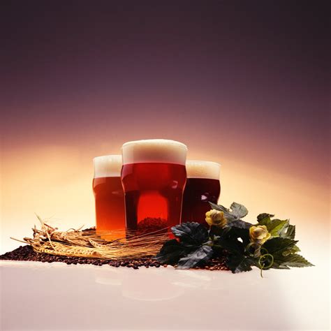 Beer Fermentation Hops Along Scientific American