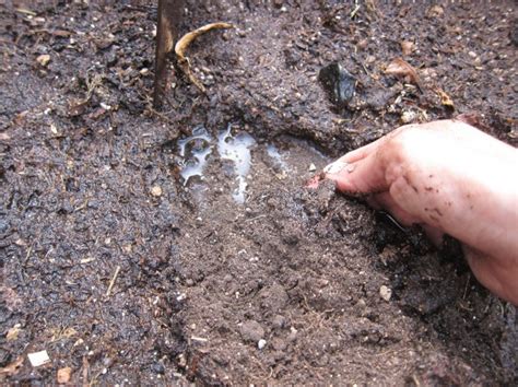 Watering 101 Root Simple