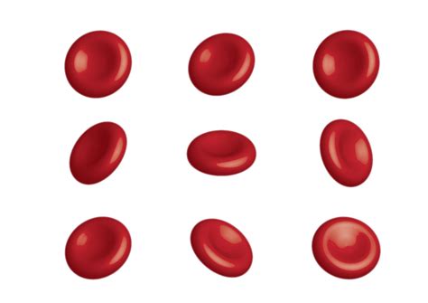 Más De 10 Imágenes Gratis De Eritrocito Y Anemia Pixabay