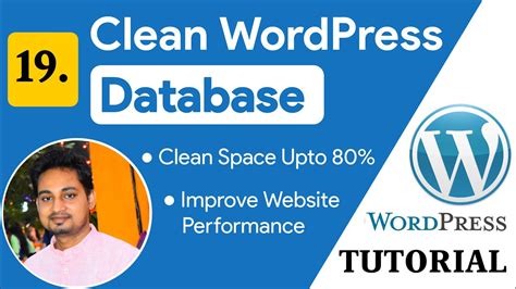how to clean your wordpress database [2024] how to optimize wordpress