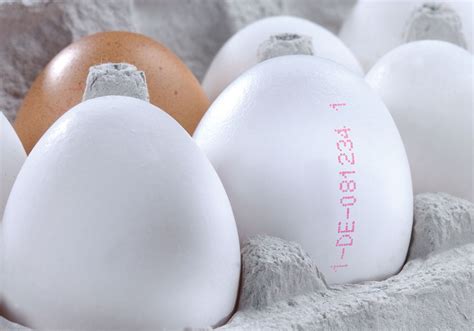 Navigating The Challenges Of Egg Coding And Marking