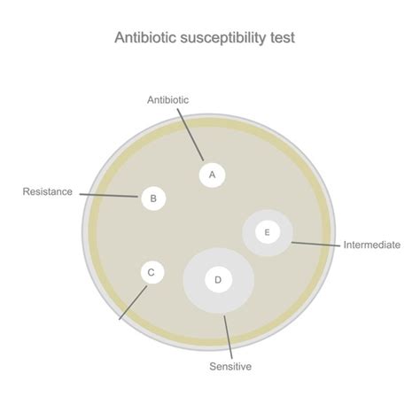 8 Antibiotic Susceptibility Test Stock Vectors And Vector Art