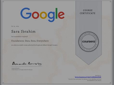 sara elsayed ibrahim on linkedin certificate for foundation data