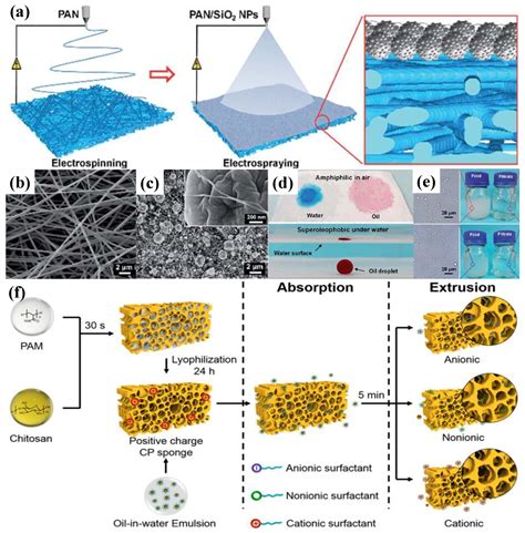 Bio Inspired Polymeric Structures With Special Wettability And Their Applications An Overview