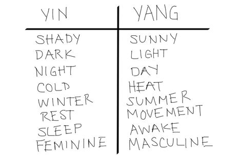 Yin And Yang A Beginners Guide To Chinese Medicine Medium