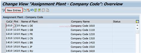 Understanding A Plant In Sap Definition Role And Setup Guide