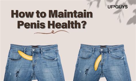 A Complete Guide For Having A Healthy Penis Upguys