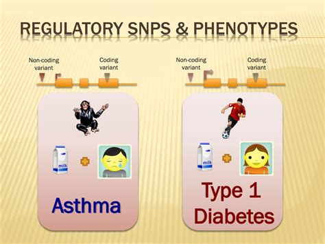 Ppt Cis Regulatory Snps Altering Transcription Detected By Allelic Expression Mapping