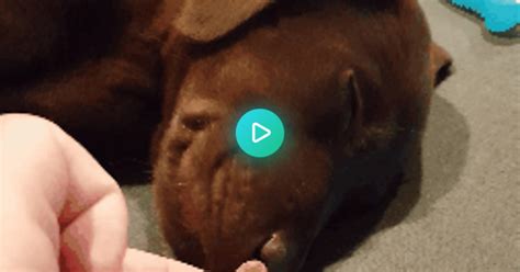 Day 6 Messin With Cash Squatch Album On Imgur