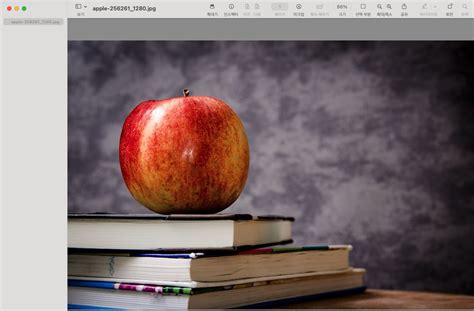 Mac Os 미리보기 1 맥북 초강력 이미지 편집 툴 미리보기 사용법 올인원쿤 블로그