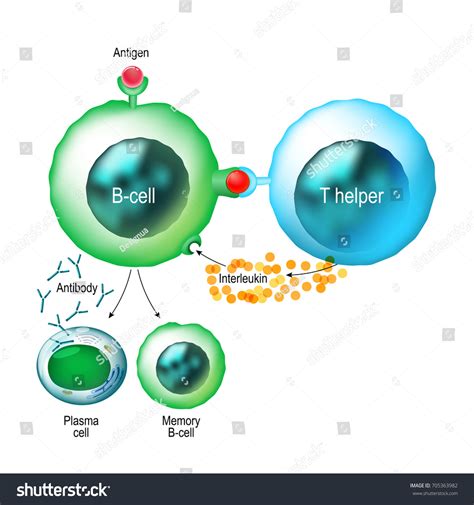 T Helper Stock Vectors Images Vector Art Shutterstock