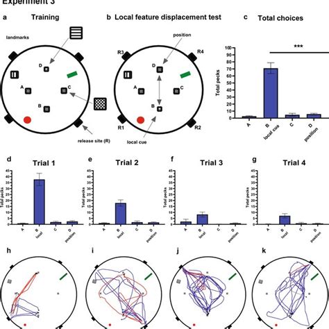 use of spatial vs local cues in binocular chicks experiments 3 a