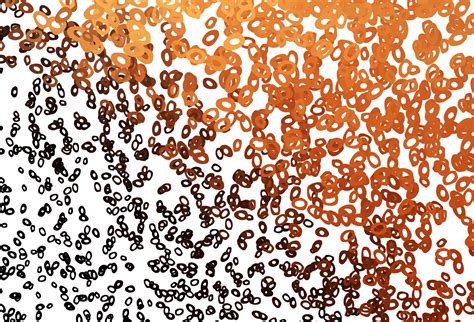 Dark Orange Vector Layout With Circle Shapes 11589475 Vector Art At Vecteezy