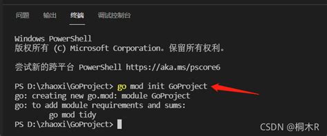 Go语言入门（2）：vs Code编写go代码并运行vscode怎么运行go Csdn博客