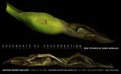 Dawn Dedeaux Arthur Roger Gallery