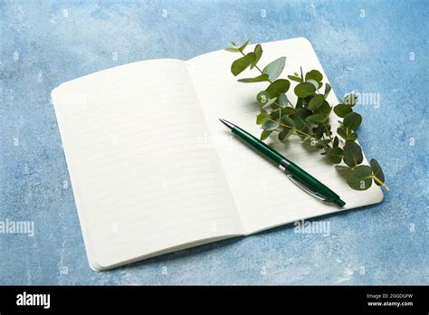 Open Notebook Pen And Eucalyptus Branch On Color Background Stock