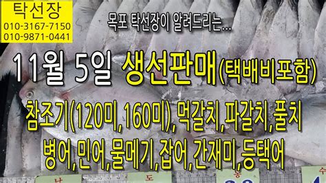 11월 5일 참조기120미160미 먹갈치 파갈치 풀치 병어 민어 물메기 잡어 간재탁선장 목포 남도농수산 010 3167 7150 010 9871