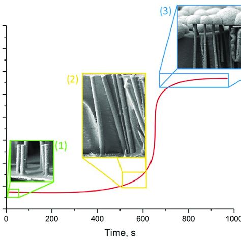 Schematic Representation Of The Nanostructures Formation In The Pores