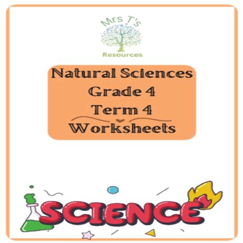 Grade 4 Ss Geography Term 2 Worksheets • Teacha