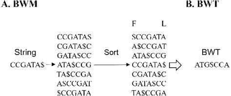 Bwt Construction Process The Character Indicates The End Of The