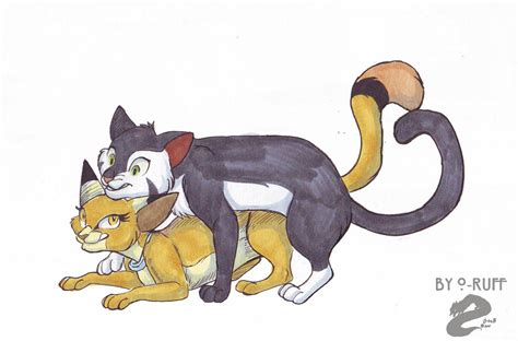 Rule Ambiguous Penetration Black Body Black Fur Domestic Cat