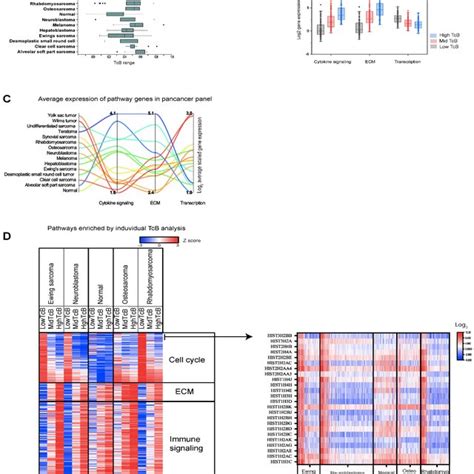 Biological Progression Patterns In Pediatric Extracranial Solid Tumor Download Scientific