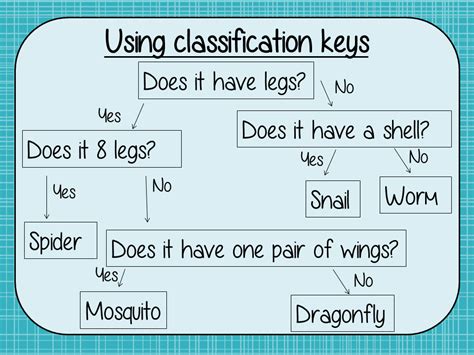 Classifying Living Things Powerpoint And Worksheets Teaching Resources
