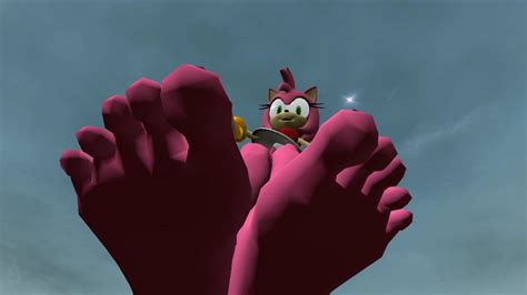 Under The Soles Of Amy Rose Request By Hectorlongshot On Deviantart