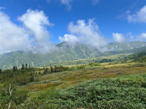 Leetcode 416 Partition Equal Subset Sum By Nikhil Jain Medium