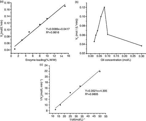 A Effect Of Enzyme Loading On Initial Reaction Rate B Relationship