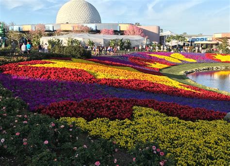 Epcot Disney Insights
