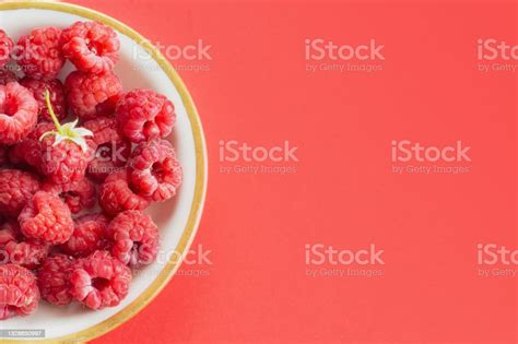 접시에 익은 라즈베리 과일 여름 베리 의 건강한 더미 최고 보기 텍스트 무료 복사 공간과 분홍색 배경에 빨간 스칼렛 라즈베리의 패턴 플랫 레이 0명에 대한 스톡 사진 및