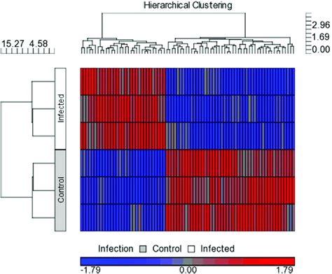 Heat Map Of The Microarray Mirna Expression Profile Of Ev71 Infected