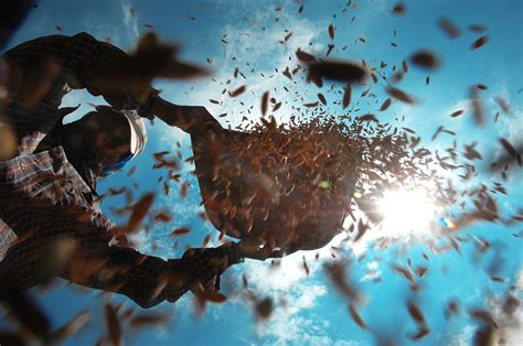 Heres How Microsoft Is Helping Indian Farmers Increase Crop Productivity