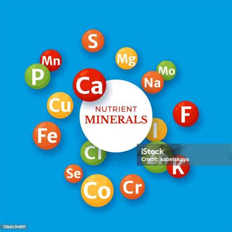건강한 영양을 위한 비타민과 미네랄 둥근 공 비행으로 형성 된 종합 비타민과 영양소 벡터 기호 아이콘 미량 영양소에 대한 스톡 벡터 아트 및 기타 이미지 Istock